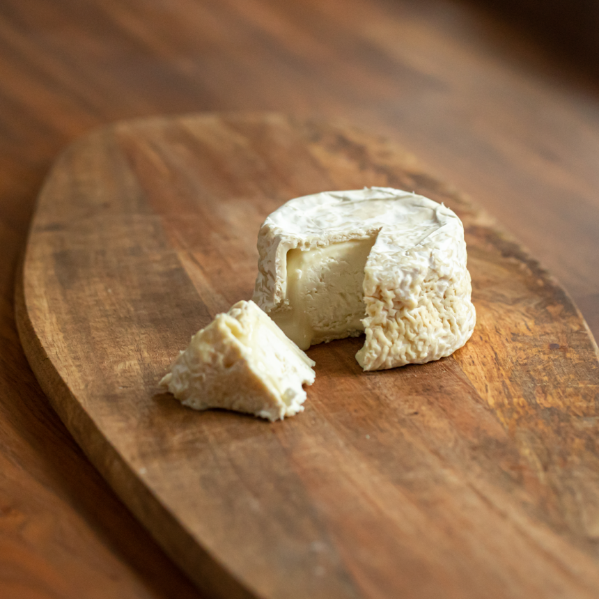 Snowdrop – Haystack Mountain Creamery